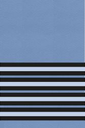 Commissioned Officers